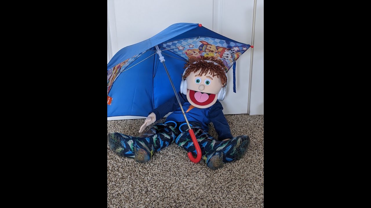 Learning About Storms- Social Emotional Puppet Show - Annie's Classroom